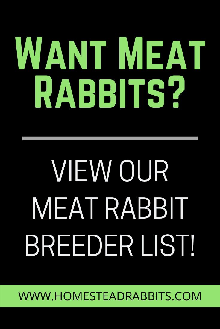 Meat Rabbit Breeder List - Homestead Rabbits