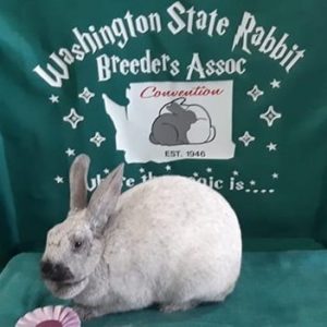 Meat Rabbit Breeder List - Meat Rabbit Breeder List