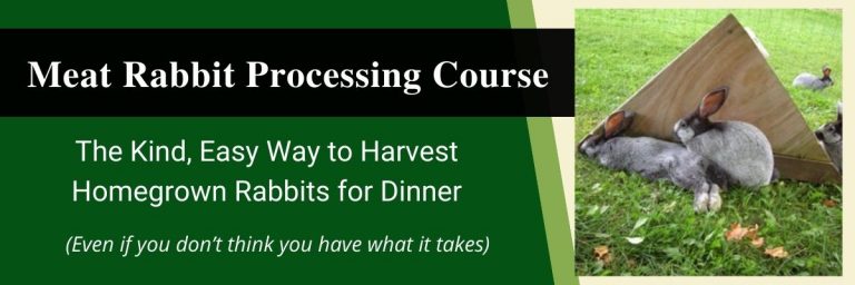 Meat Rabbit Breeder List - Homestead Rabbits